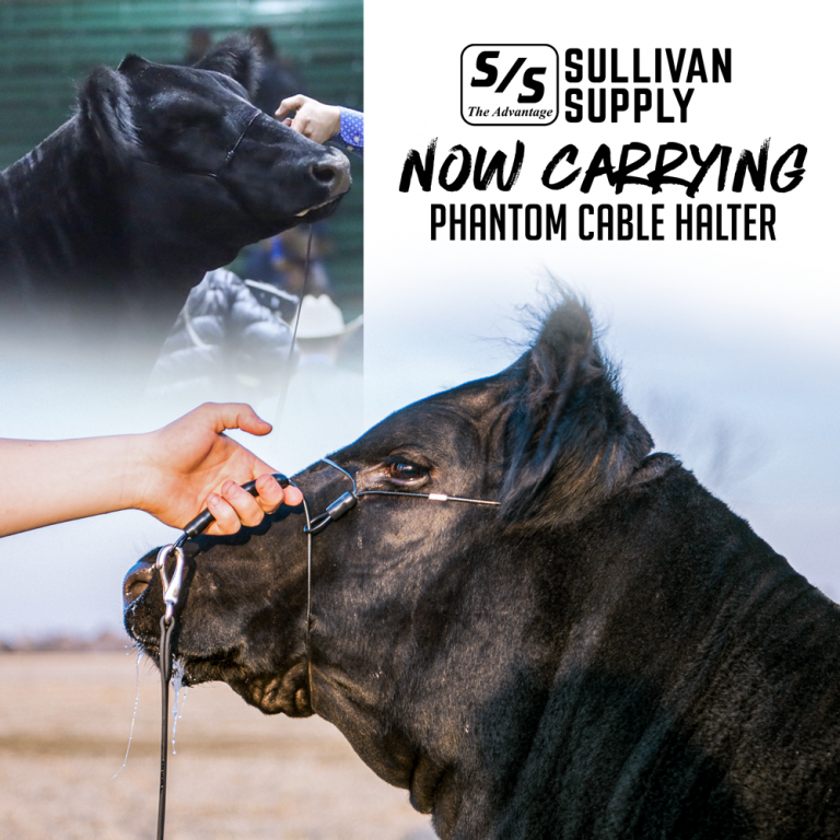 The Pulse | Powered By Sullivan Supply