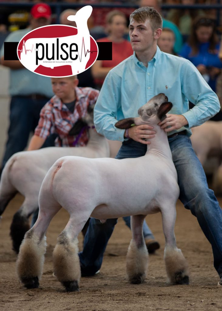 The Pulse | Powered By Sullivan Supply | Page 2