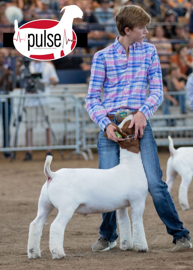 The Pulse | Powered By Sullivan Supply | Page 2