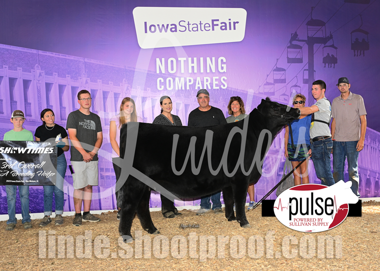 Iowa State Fair | Top 5 FFA Heifers | The Pulse
