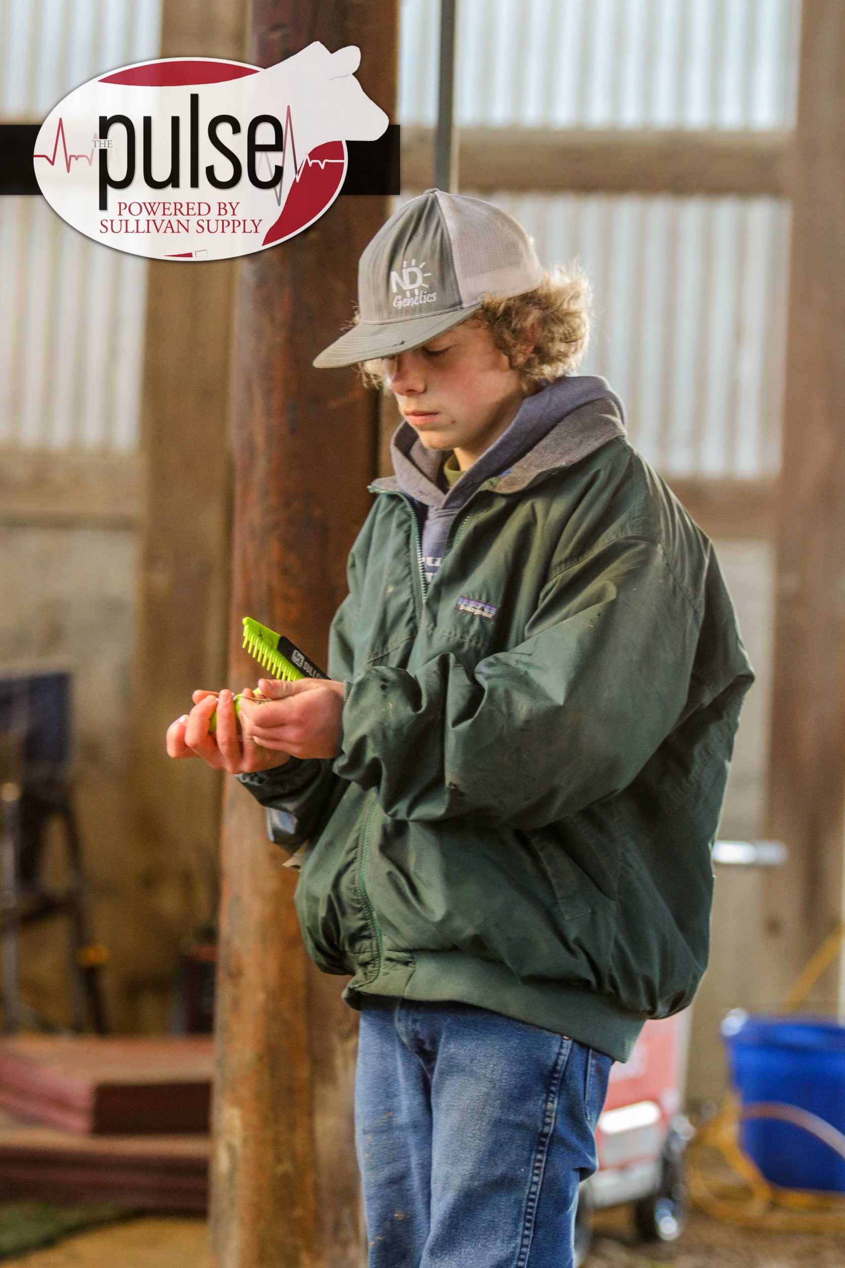 Illinois Beef Expo | Fun Friday in Springfield | The Pulse