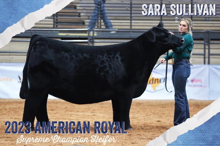 Best of the Barns – Best Cattle Operation | The Pulse