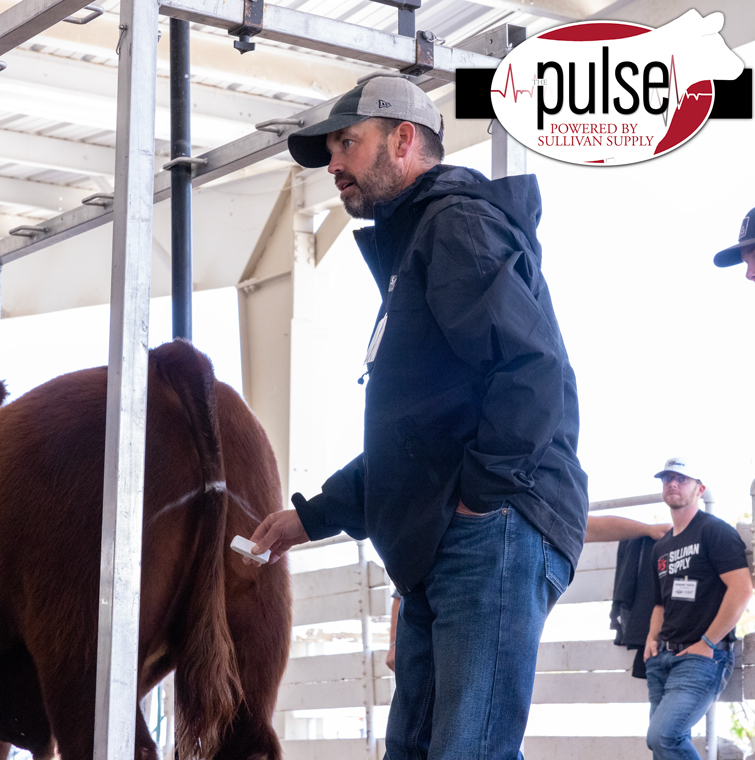 Idaho 2-Day 4-Species Stock Show University® Grad Program | Suds upped ...