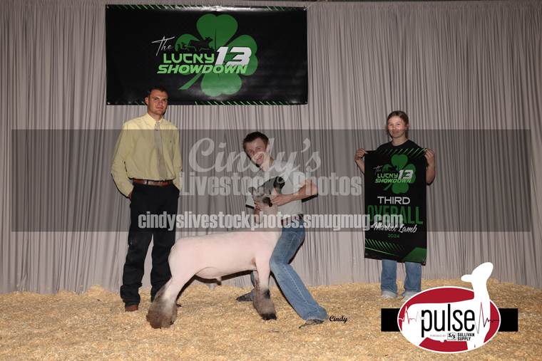 Lucky 13 Showdown | Top 3 Market Lambs | The Pulse