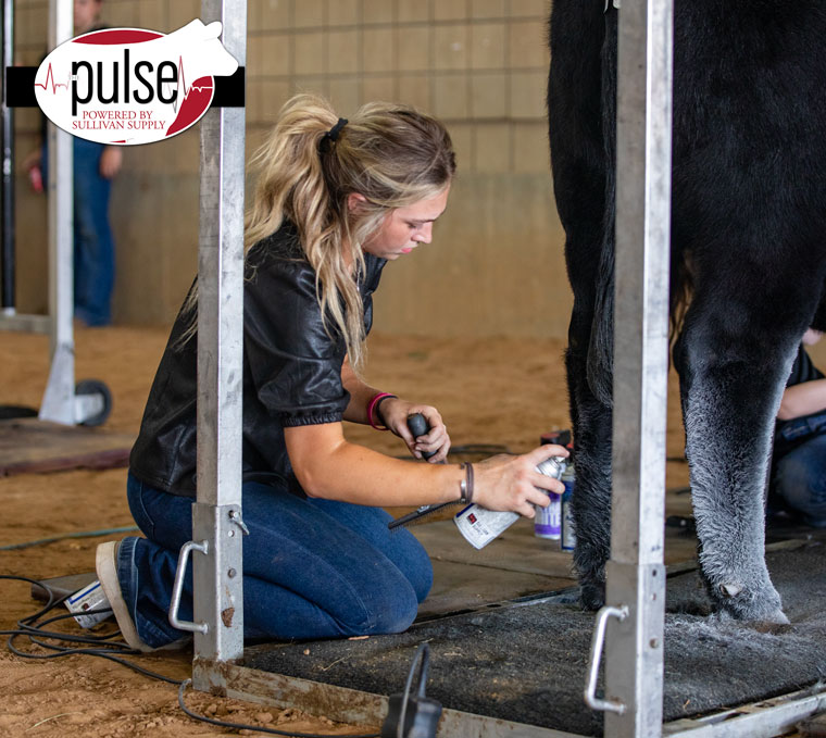 AJSA National Classic | Sullivan Supply Team Fitting Contest | The Pulse