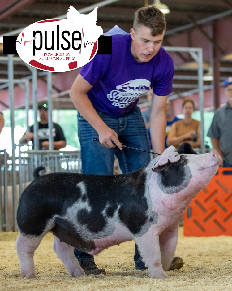 South Dakota Spotlight | Spot Barrows | The Pulse