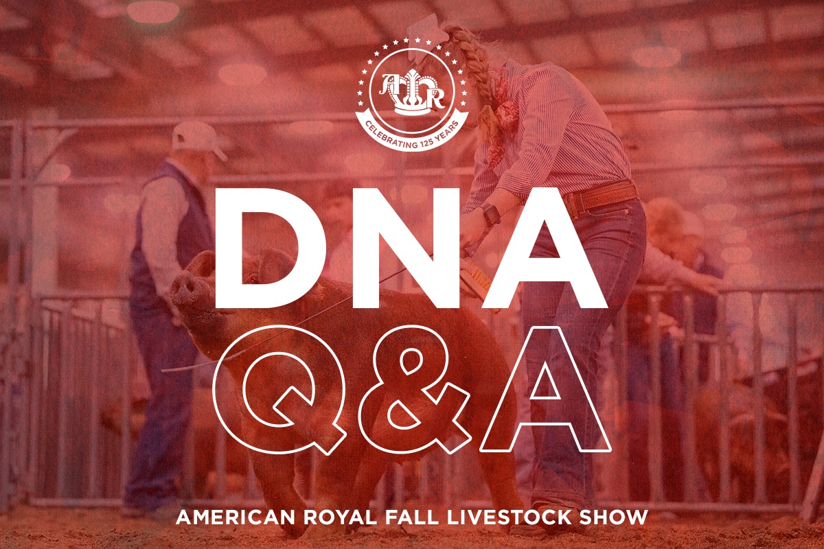 2024 American Royal DNA Q & A | The Pulse