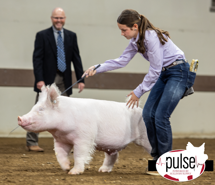 Indiana State Fair | Overall Market Barrows | The Pulse