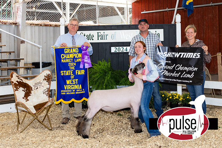 West Virginia State Fair | Market Lambs | The Pulse