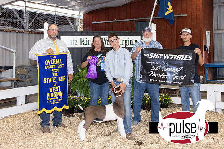 West Virginia State Fair | Market Goats | The Pulse