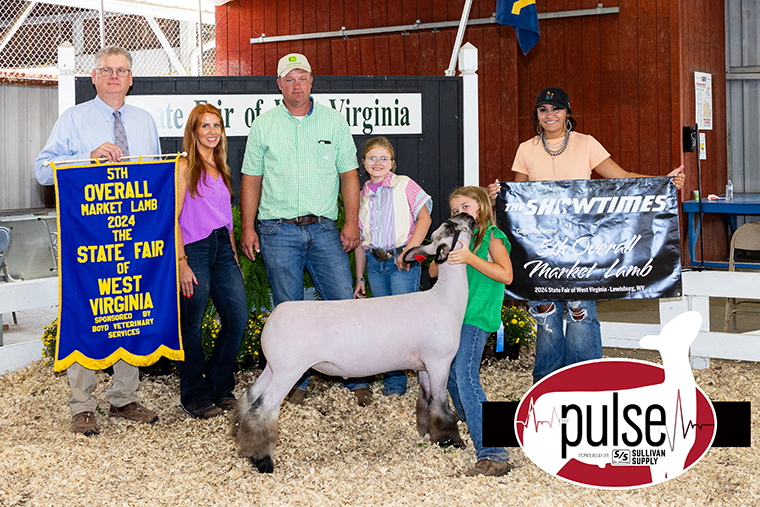 West Virginia State Fair | Market Lambs | The Pulse