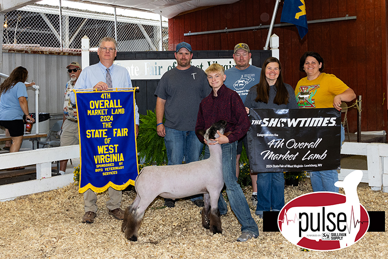 West Virginia State Fair | Market Lambs | The Pulse