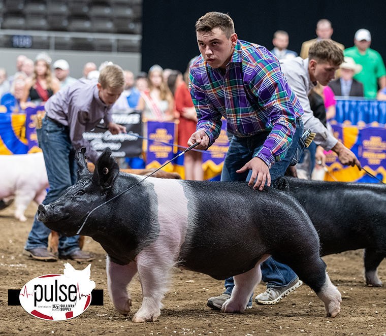 Indiana State Fair | Overall Market Barrows | The Pulse