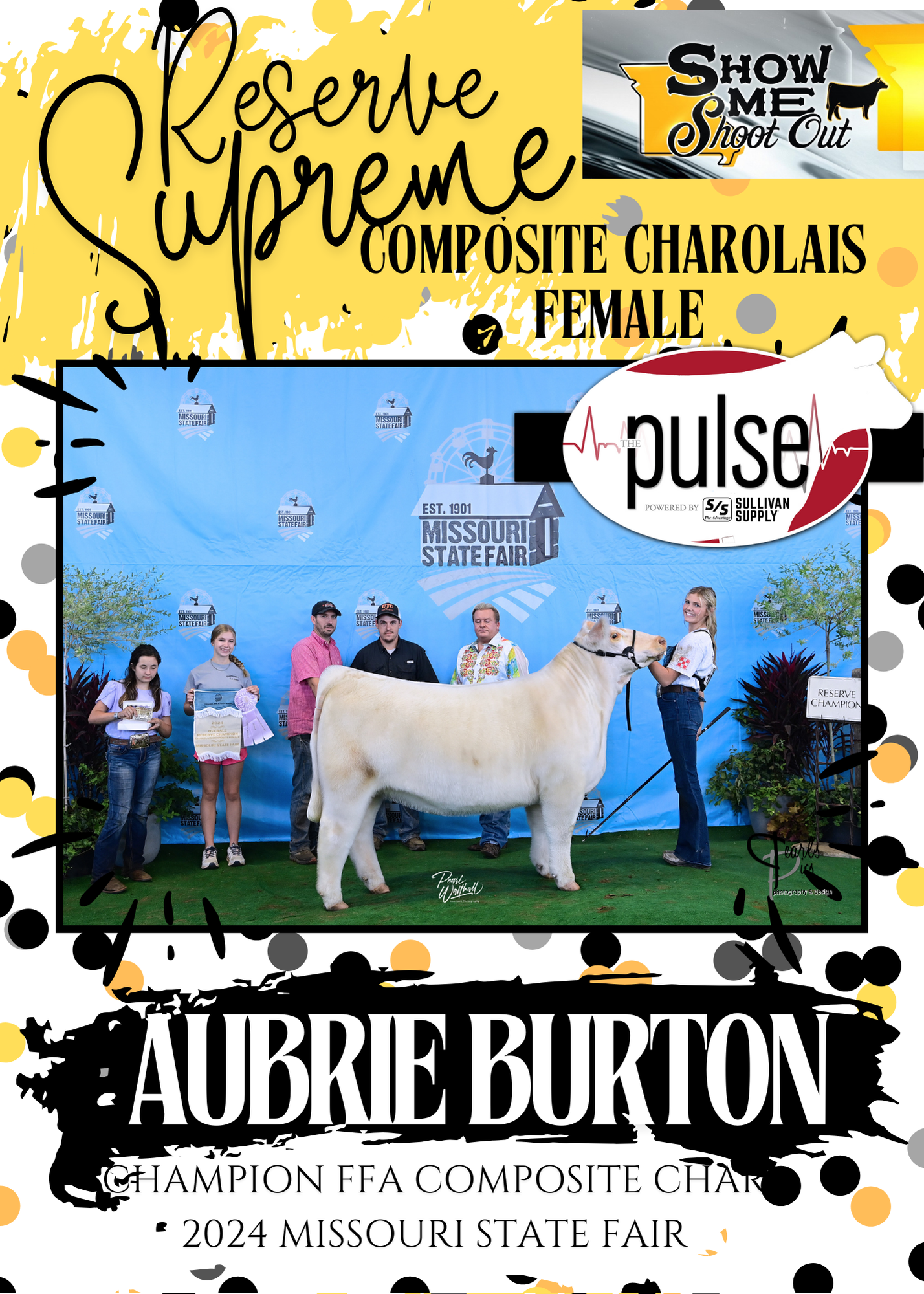 Missouri State Fair | Composite Charolais | The Pulse