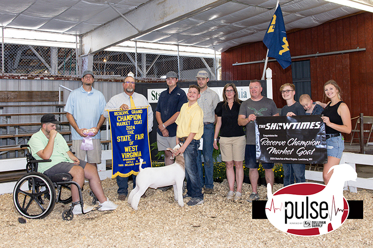West Virginia State Fair | Market Goats | The Pulse