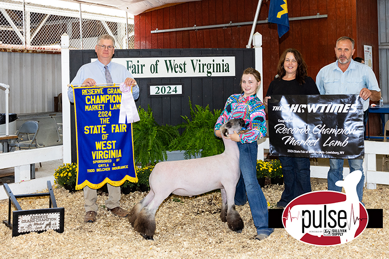 West Virginia State Fair | Market Lambs | The Pulse