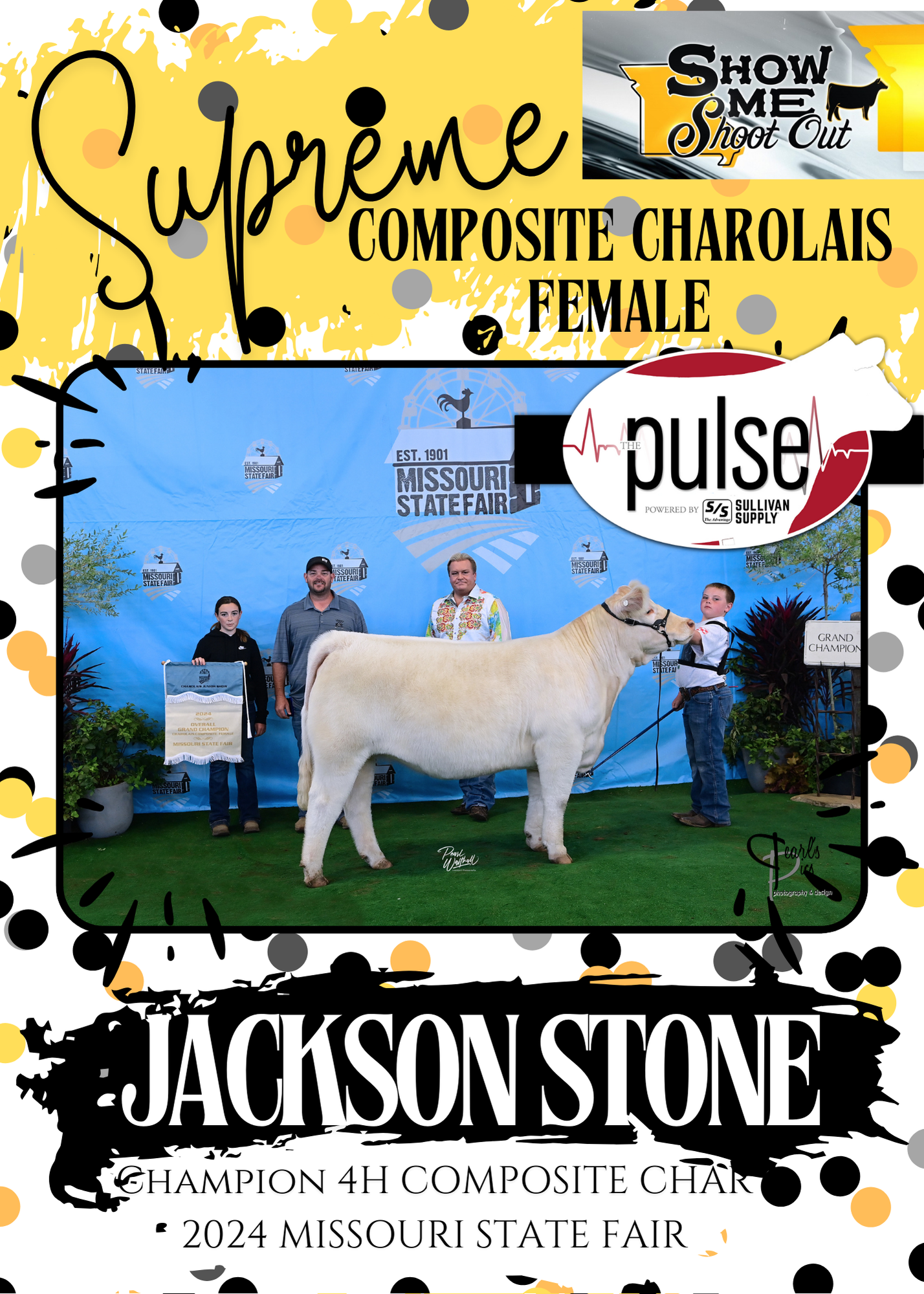 Missouri State Fair | Composite Charolais | The Pulse