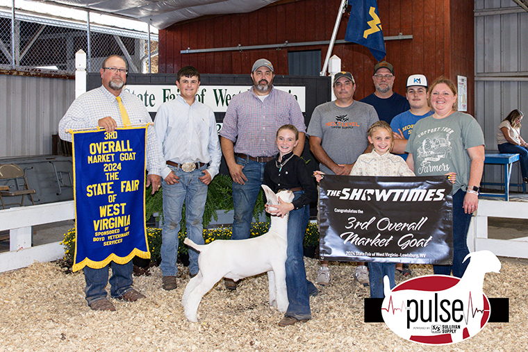West Virginia State Fair | Market Goats | The Pulse