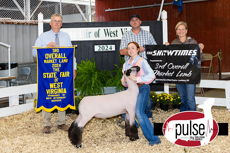 West Virginia State Fair | Market Lambs | The Pulse