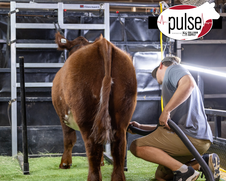 West Texas Fair | Winners only in West Texas | The Pulse
