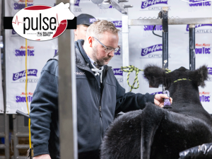 The Pulse | Powered By Sullivan Supply | Page 2