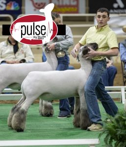 The Pulse | Powered By Sullivan Supply | Page 2