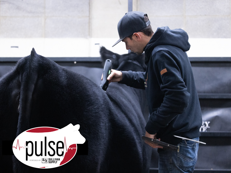 National Western | Smiles for Miles | The Pulse