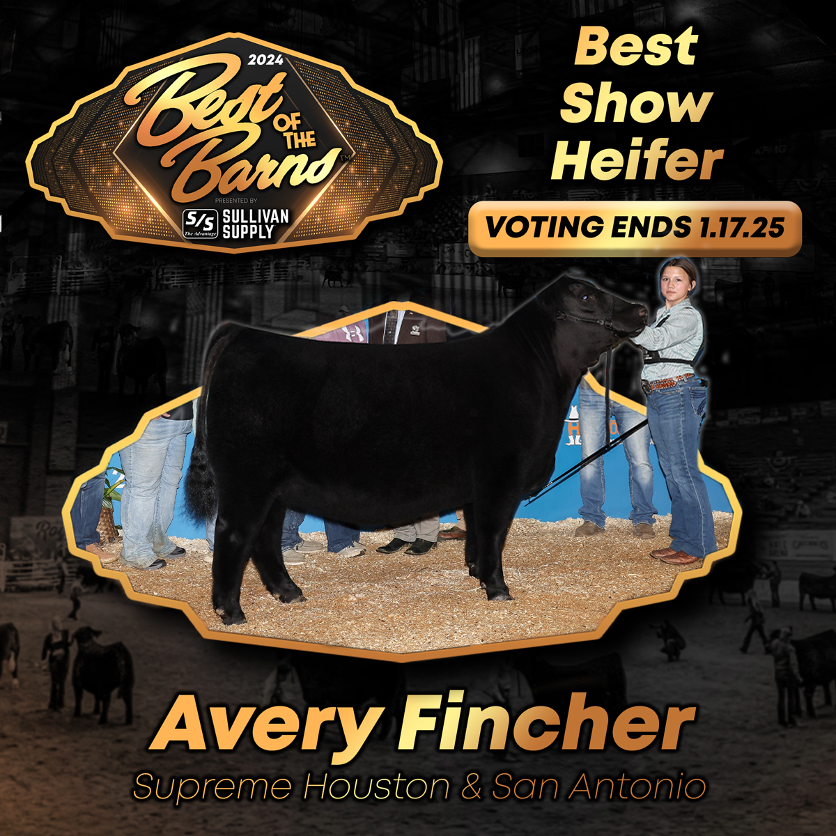 Best of the Barns | Best Show Heifer | The Pulse