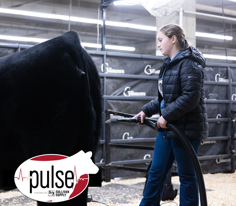 National Western | Smiles for Miles | The Pulse