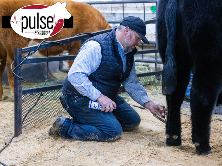 National Western | Smiles for Miles | The Pulse