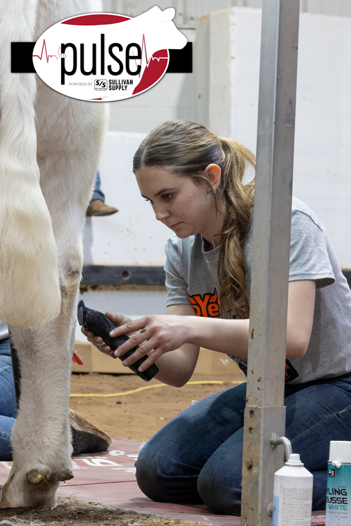 Oklahoma Youth Expo | Sullivan Supply Cattle Team Fitting Contest ...