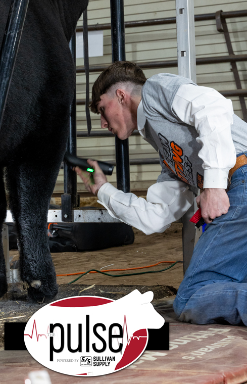 Oklahoma Youth Expo | Sullivan Supply Cattle Team Fitting Contest ...