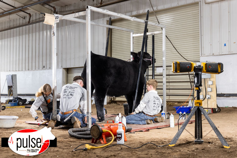 Oklahoma Youth Expo | Sullivan Supply Cattle Team Fitting Contest ...