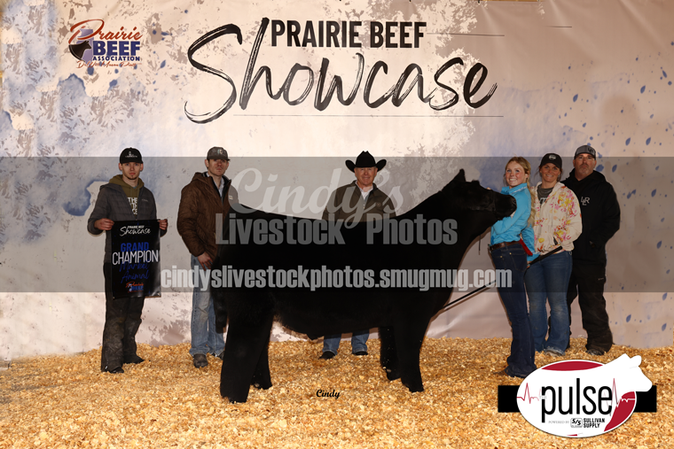 Prairie Beef Showcase | Top 5 Market Animals | The Pulse
