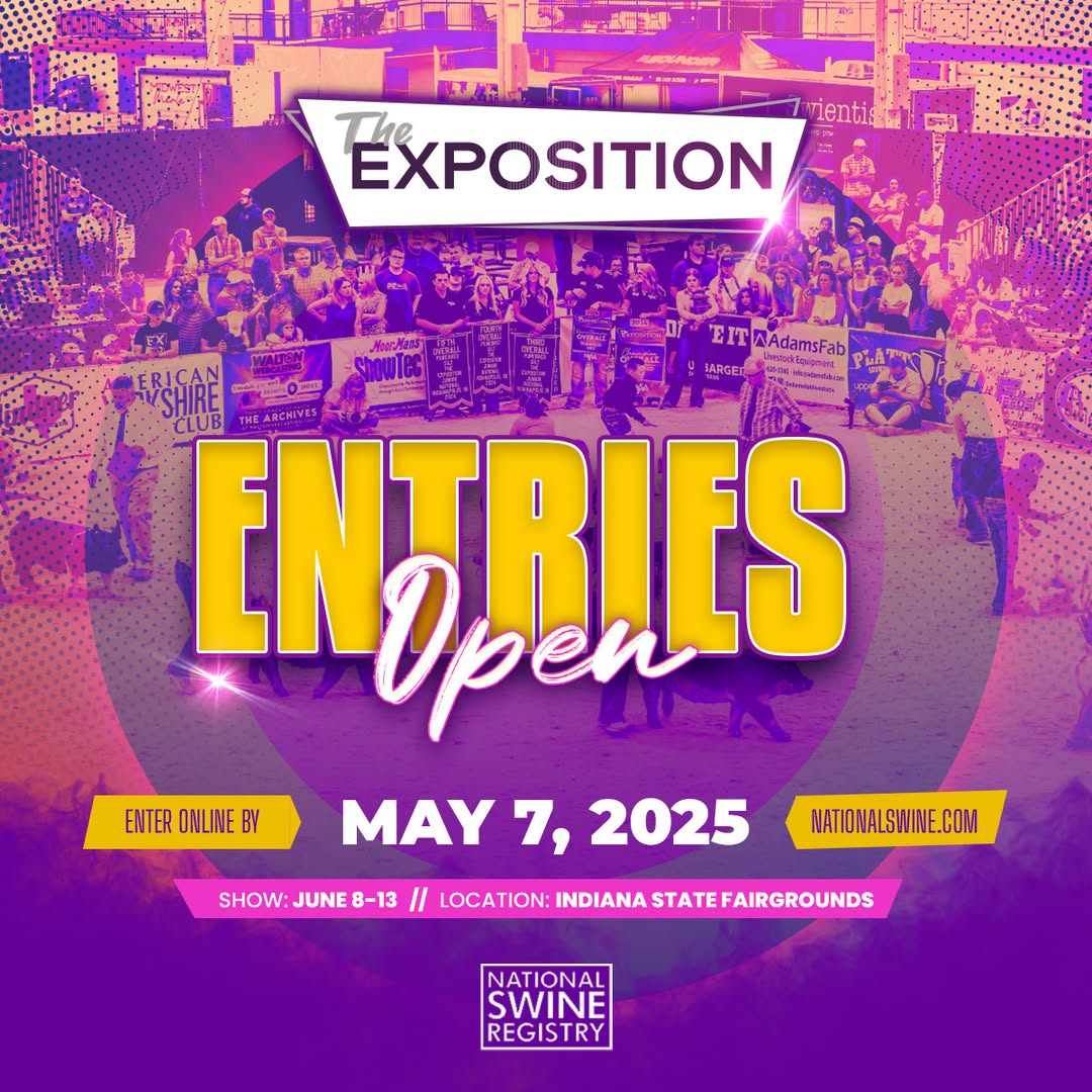 The Exposition Junior and Open Shows are open | The Pulse