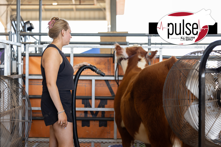 Oklahoma Beef Expo | Ready to Rock and Roll | The Pulse