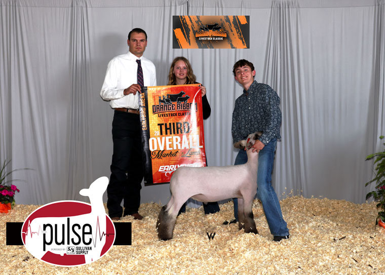 Orange Ribbon Livestock Classic | Market Lamb Show | The Pulse