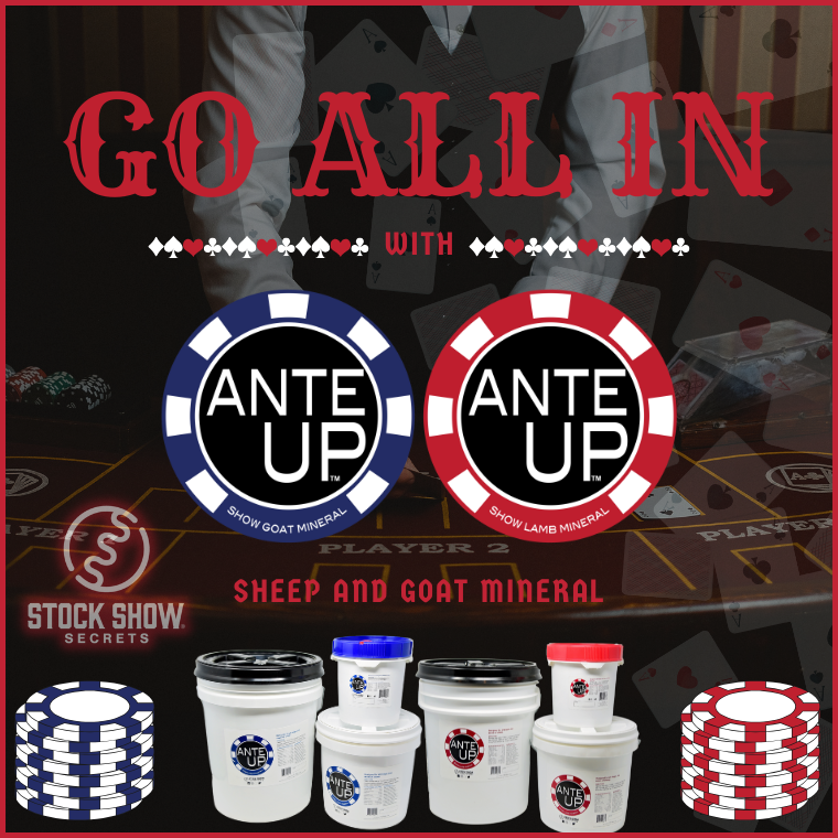 Go All In With Ante Up | The Pulse