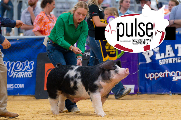 The Exposition | Market Barrows – Spot | The Pulse