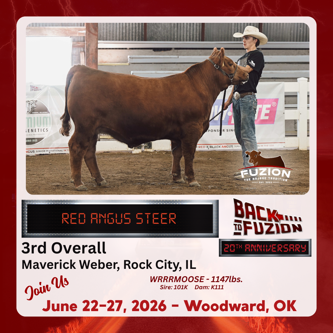 NAJRAE Fuzion | Red Angus Steers | The Pulse