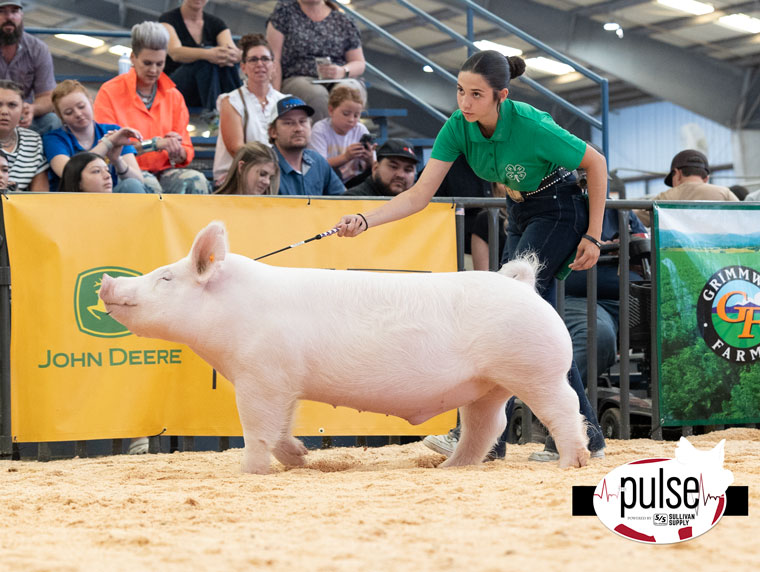 California Youth Expo | Market Barrows – Overall | The Pulse