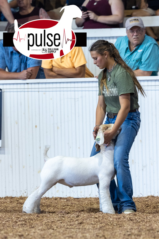 All Iowa Showdown | Market Goats | The Pulse