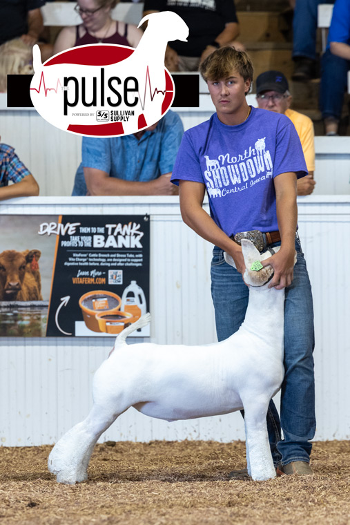 All Iowa Showdown | Market Goats | The Pulse