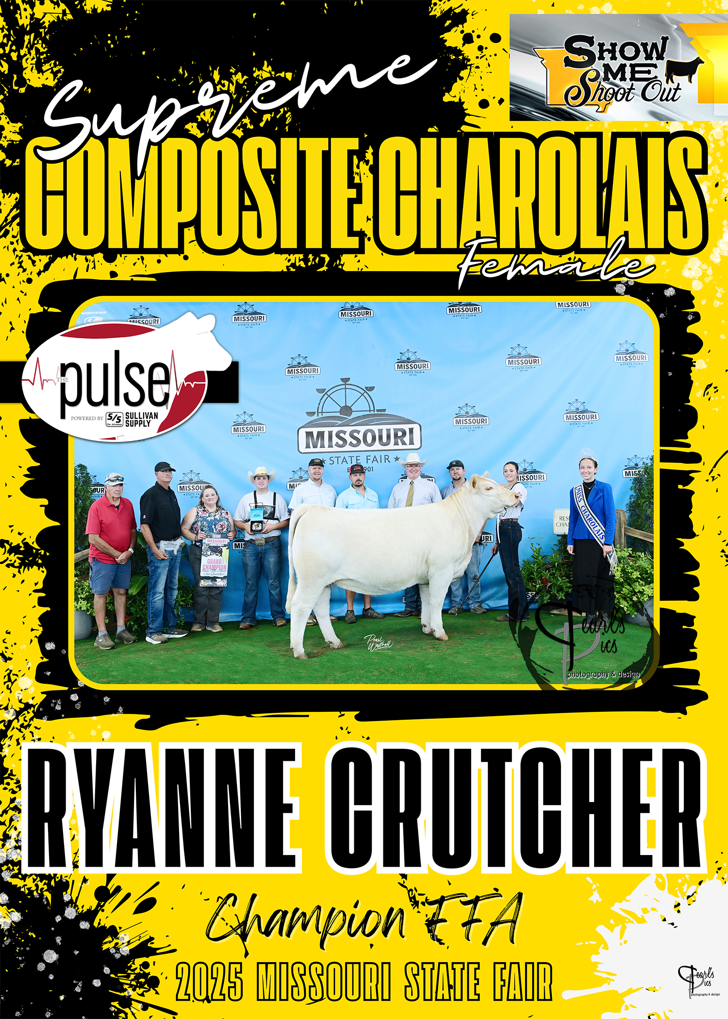 Missouri State Fair | Charolais Composite Females | The Pulse