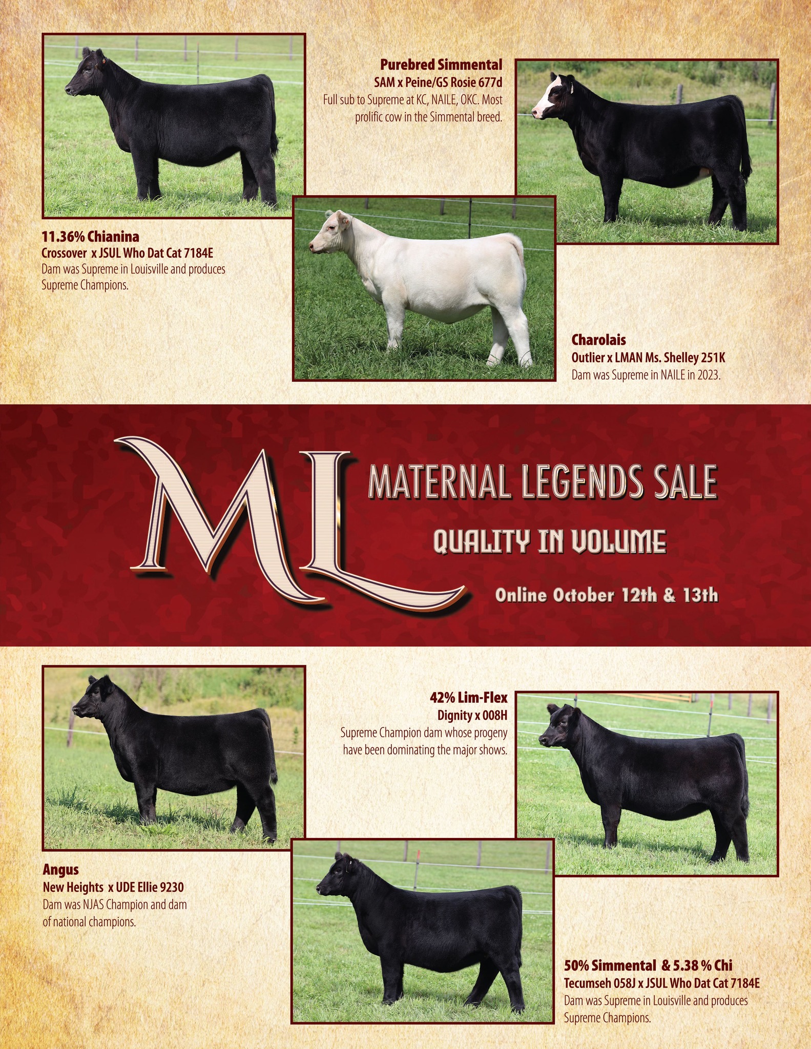 Sullivan Farms | Maternal Legends Sale • Cattle Available for Viewing ...