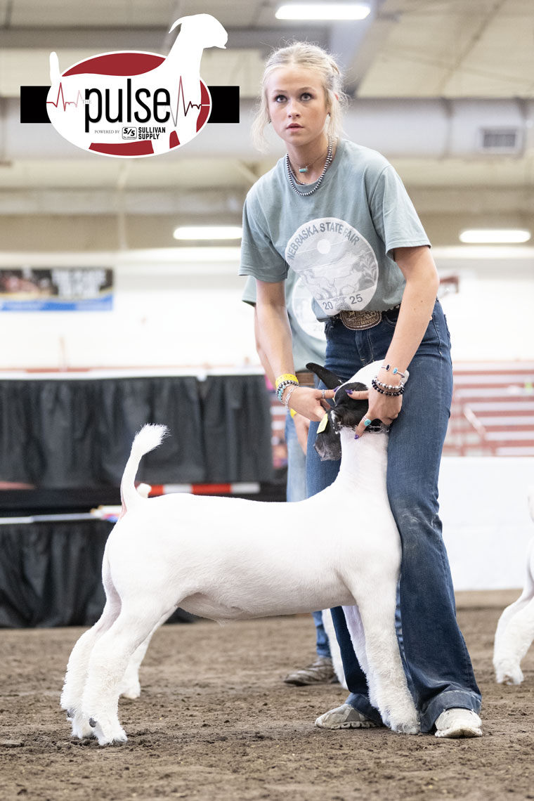 Nebraska State Fair | FFA Market Goats – Top Five | The Pulse