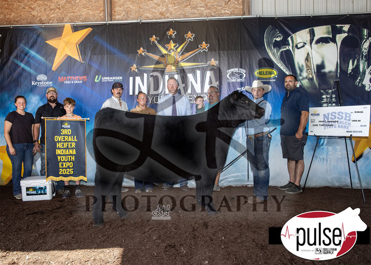 IN Youth Expo | Top 5 Heifers | The Pulse