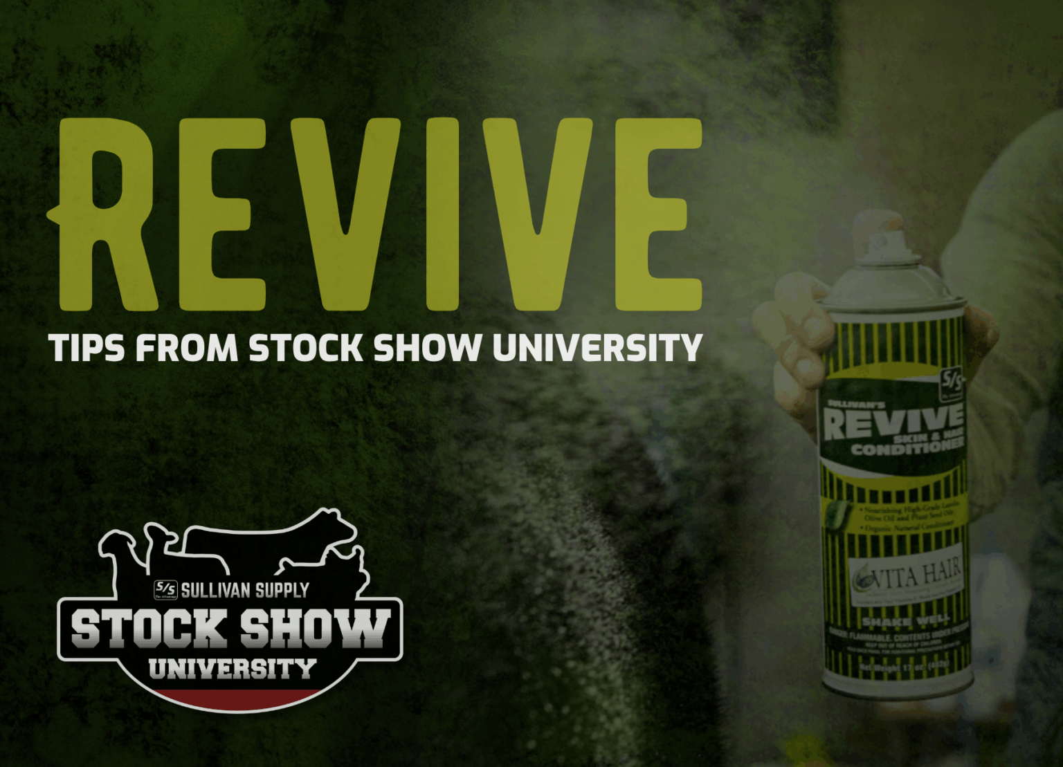 Why Choose Revive | Tips From Stock Show University | The Pulse