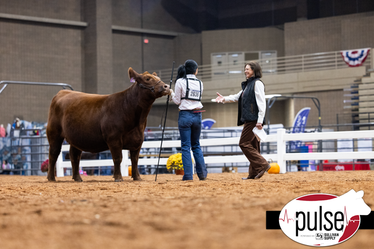 American Royal | Royal Moments | The Pulse