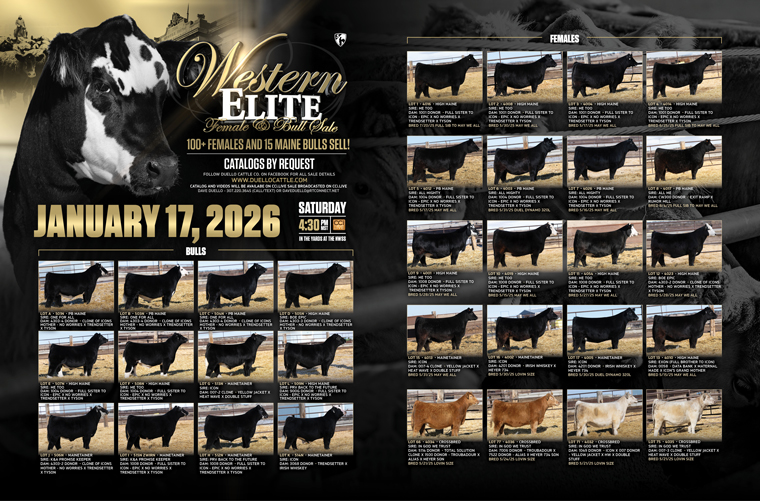 Western Elite Female & Bull Sale | The Pulse